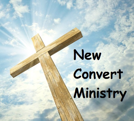 Leadership Development – New Convert Care – Introverts in the Church ...